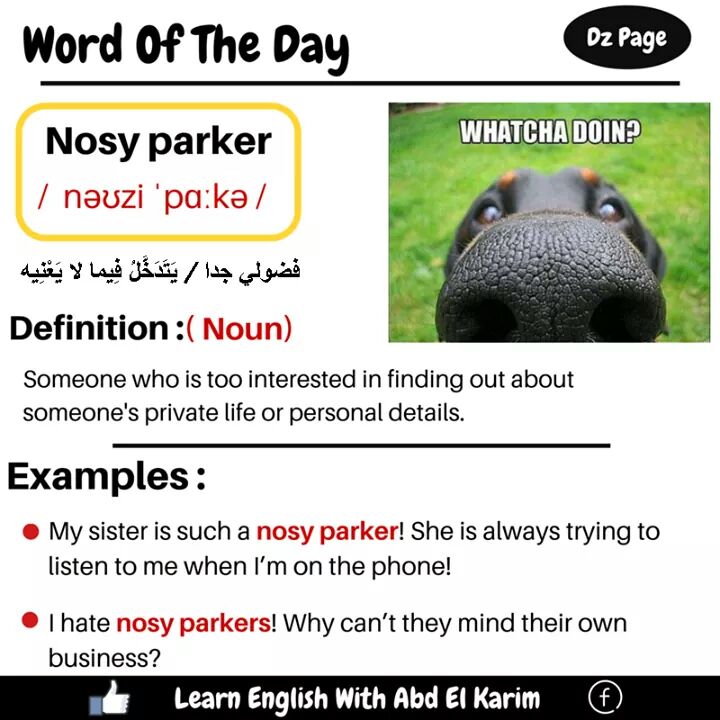 English Vocabulary – Visual Expression – Materials For Learning English