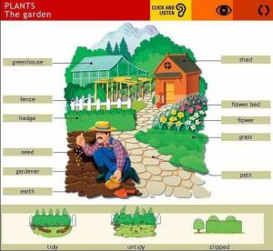 The Garden Vocabulary – Materials For Learning English